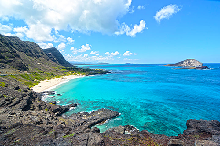 Visiting Oahu, Hawaii? – Akima Kai Ocean Art