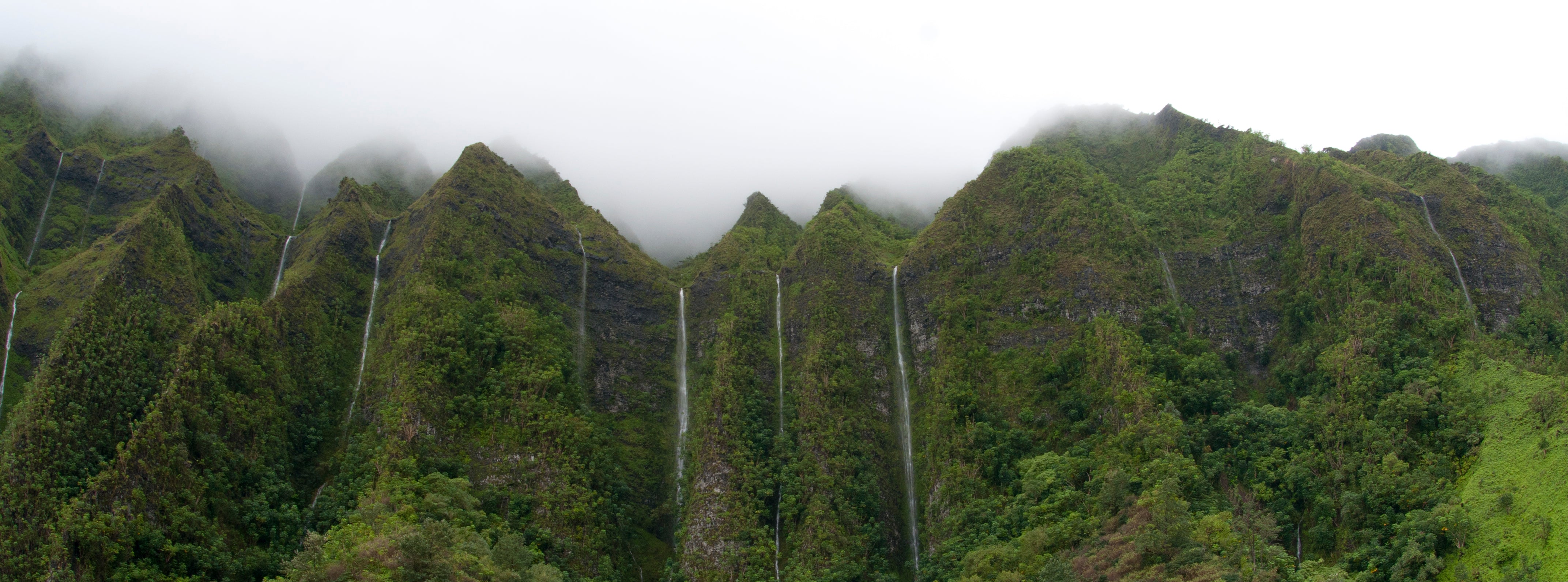 Koolau | Hawaii Underwater Photography – Akima Kai Ocean Art