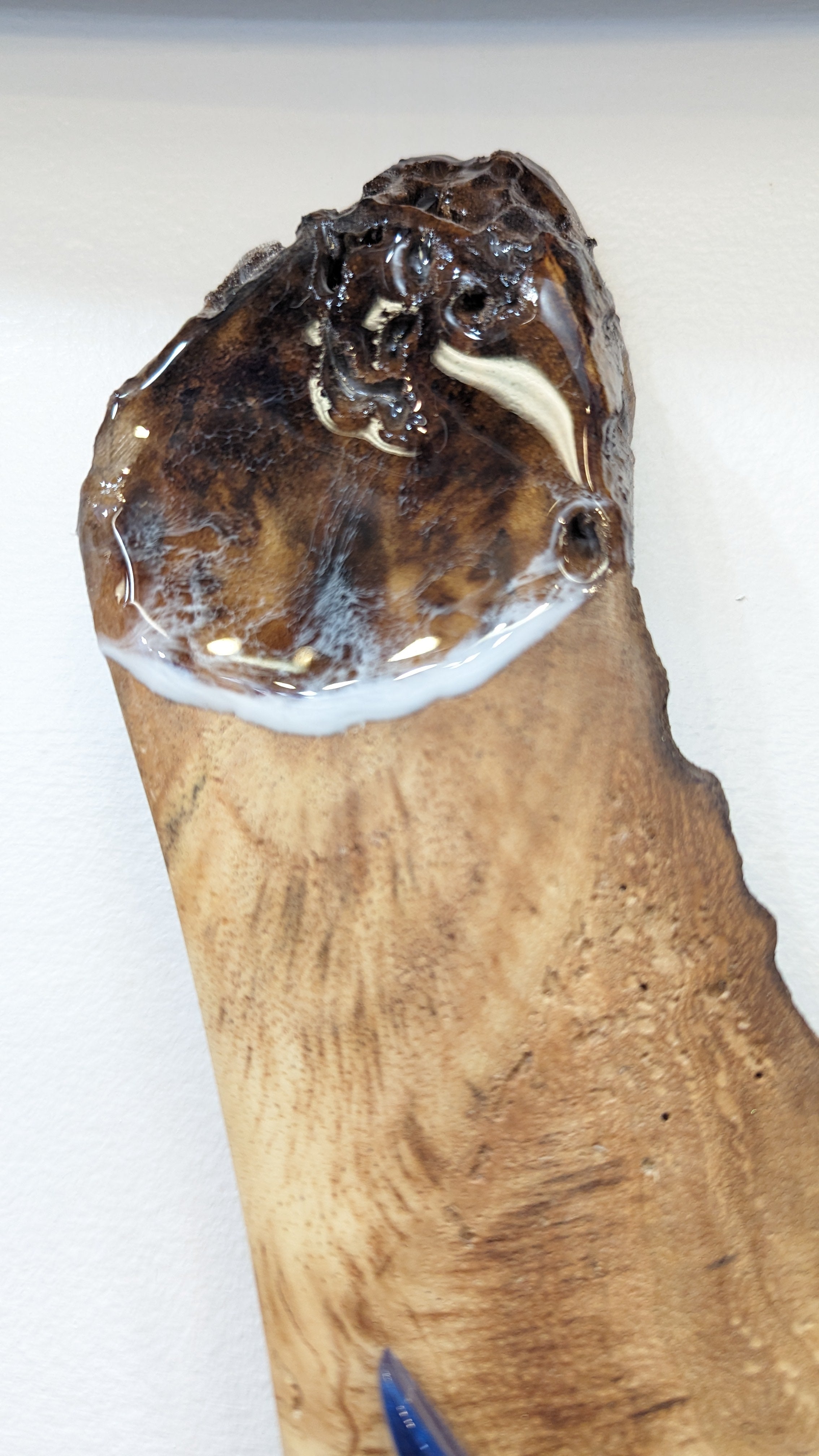 32" Hawaii Monkeypod | Coastal Majesty Collection – Akima Kai Ocean Art