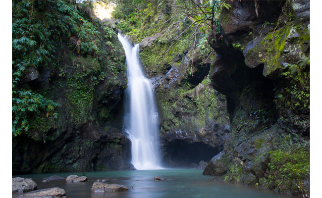 Ocean Art For Sale | Akima Kai – Akima Kai Ocean Art