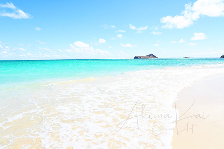 Reconnect | Hawaii Island Photography – Akima Kai Ocean Art